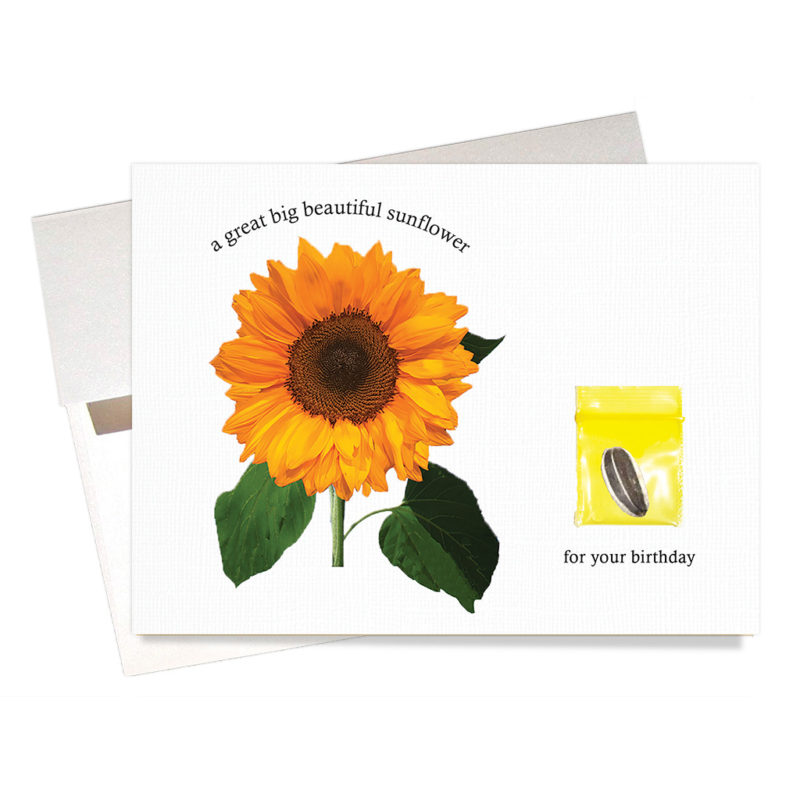 Balloon-a-gram birthday card - ticklecards.com